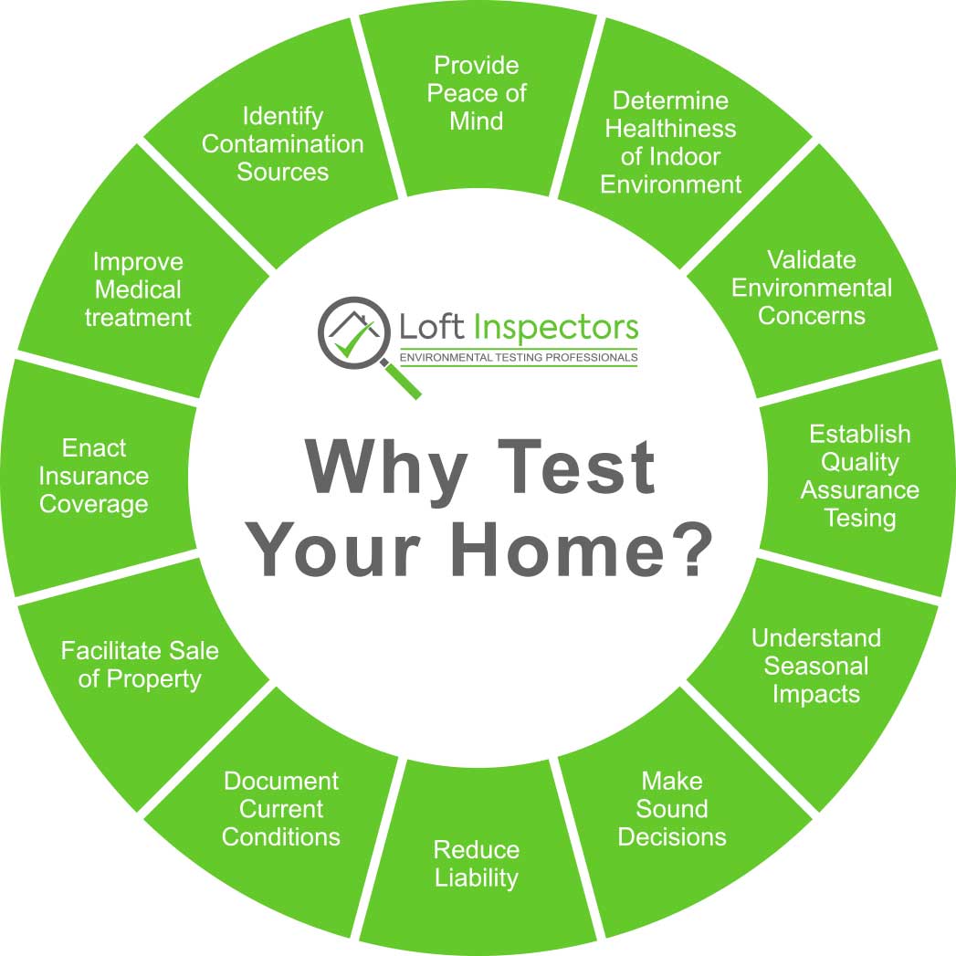 Home - Loft Inspectors
